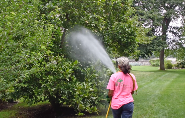 IPM: The Sustainable Approach to Plant Healthcare