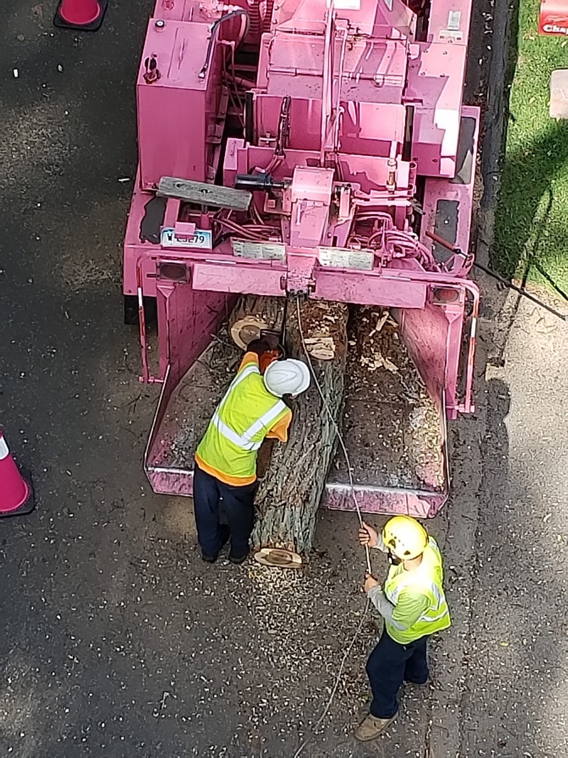 Northeast Horticultural Services | Fairfield, CT | Tree Care and ...