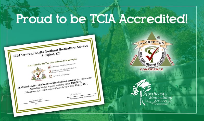 Northeast Horticultural is Accredited by the TCIA